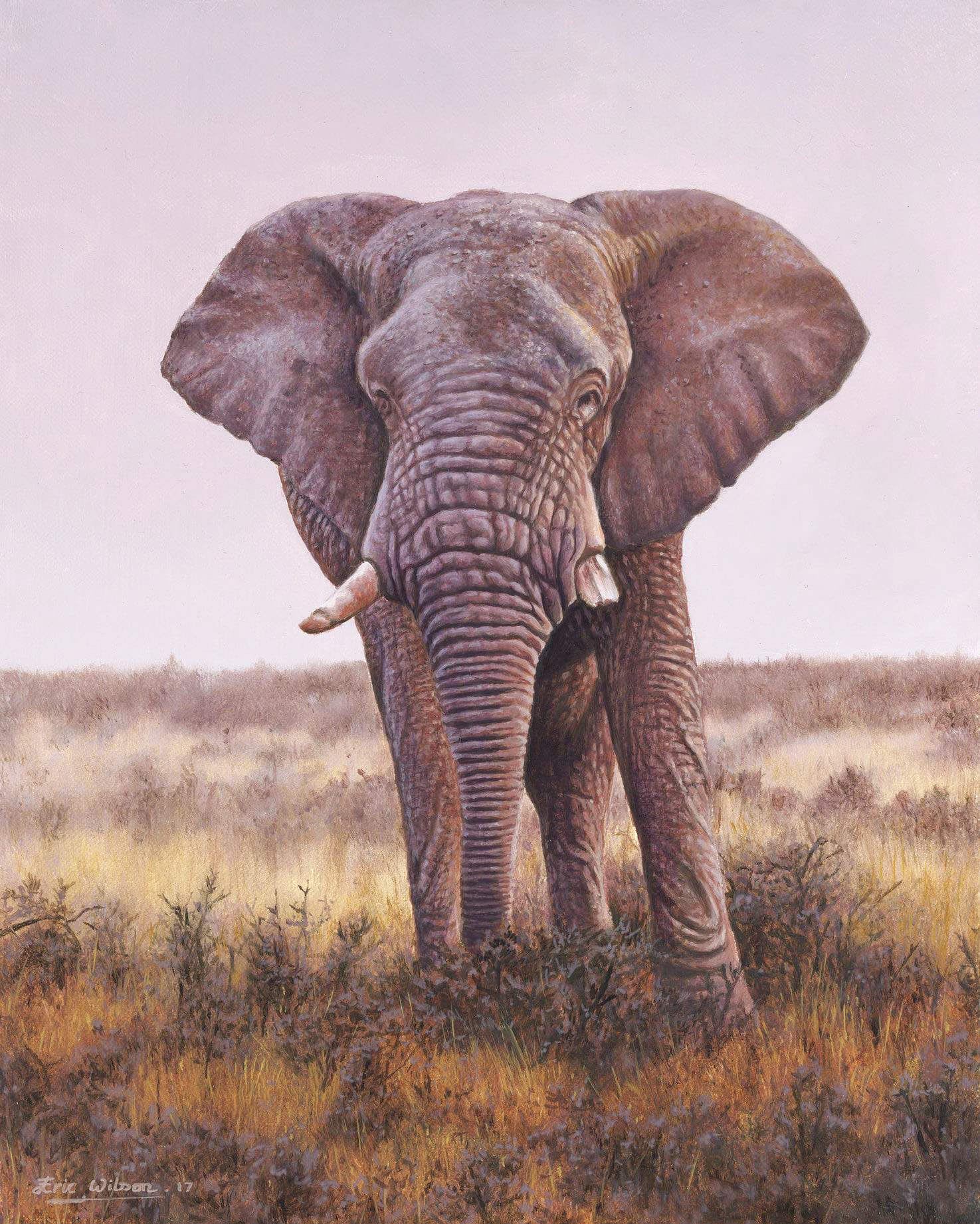 Namibian Elephant - Art by Eric Wilson – AllPaintbyNumbers