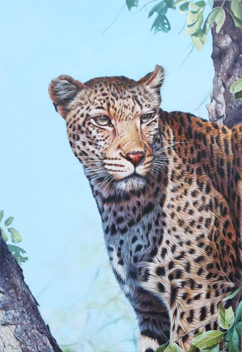 South African Leopard - Art by Eric Wilson – AllPaintbyNumbers