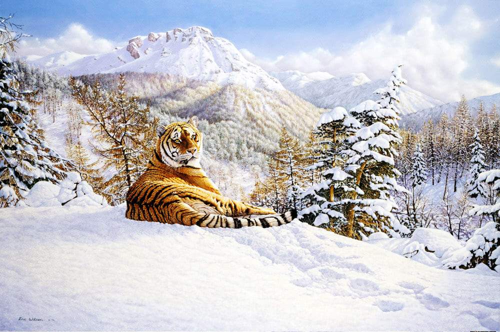 Taiga Tiger - Art by Eric Wilson – AllPaintbyNumbers